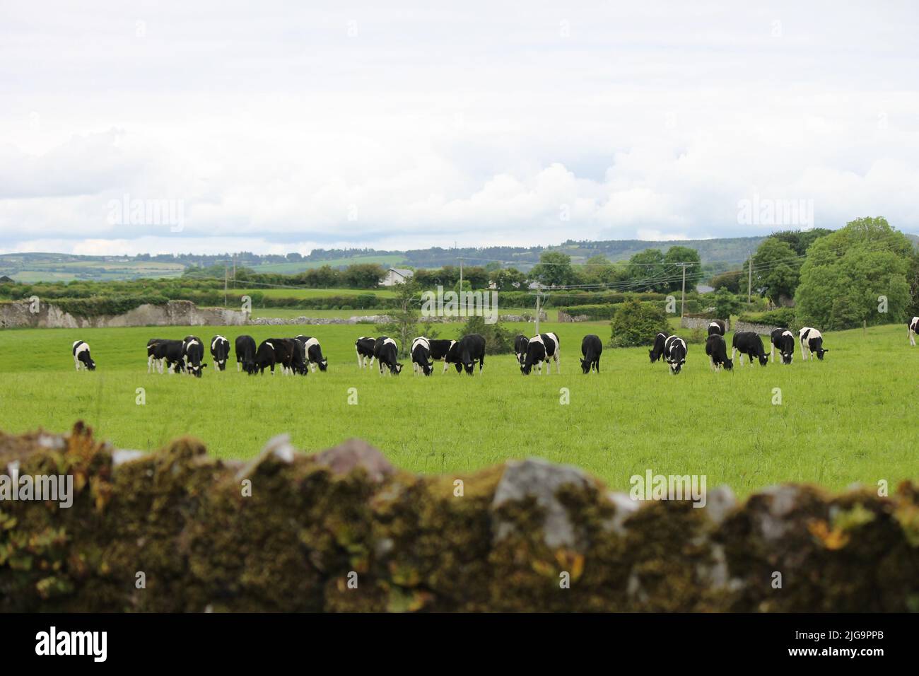 Castlelyons hi-res stock photography and images - Alamy