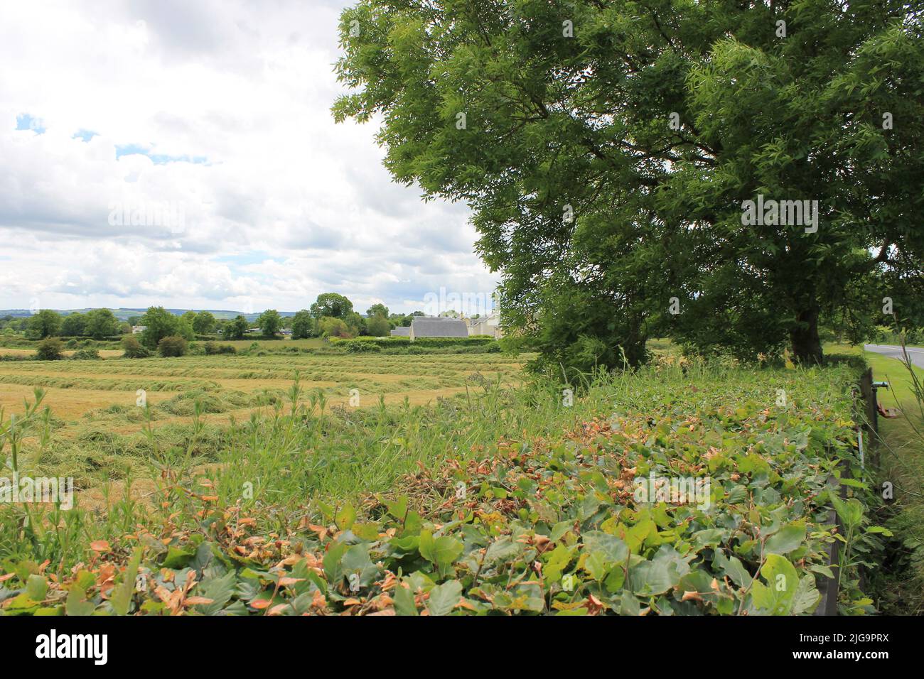 Irish farm gate hi-res stock photography and images - Alamy