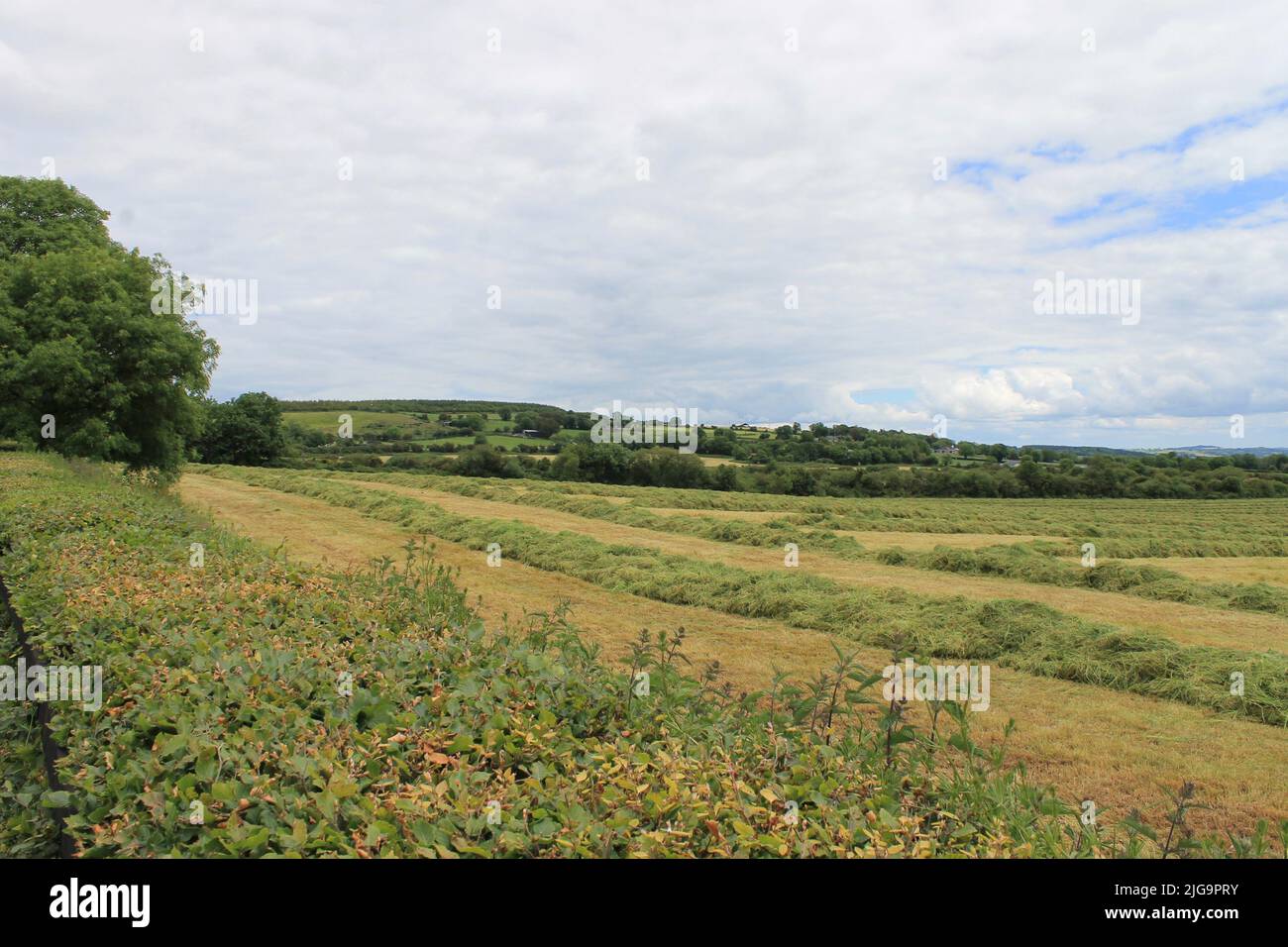 Quaint Irish farm Stock Photo - Alamy