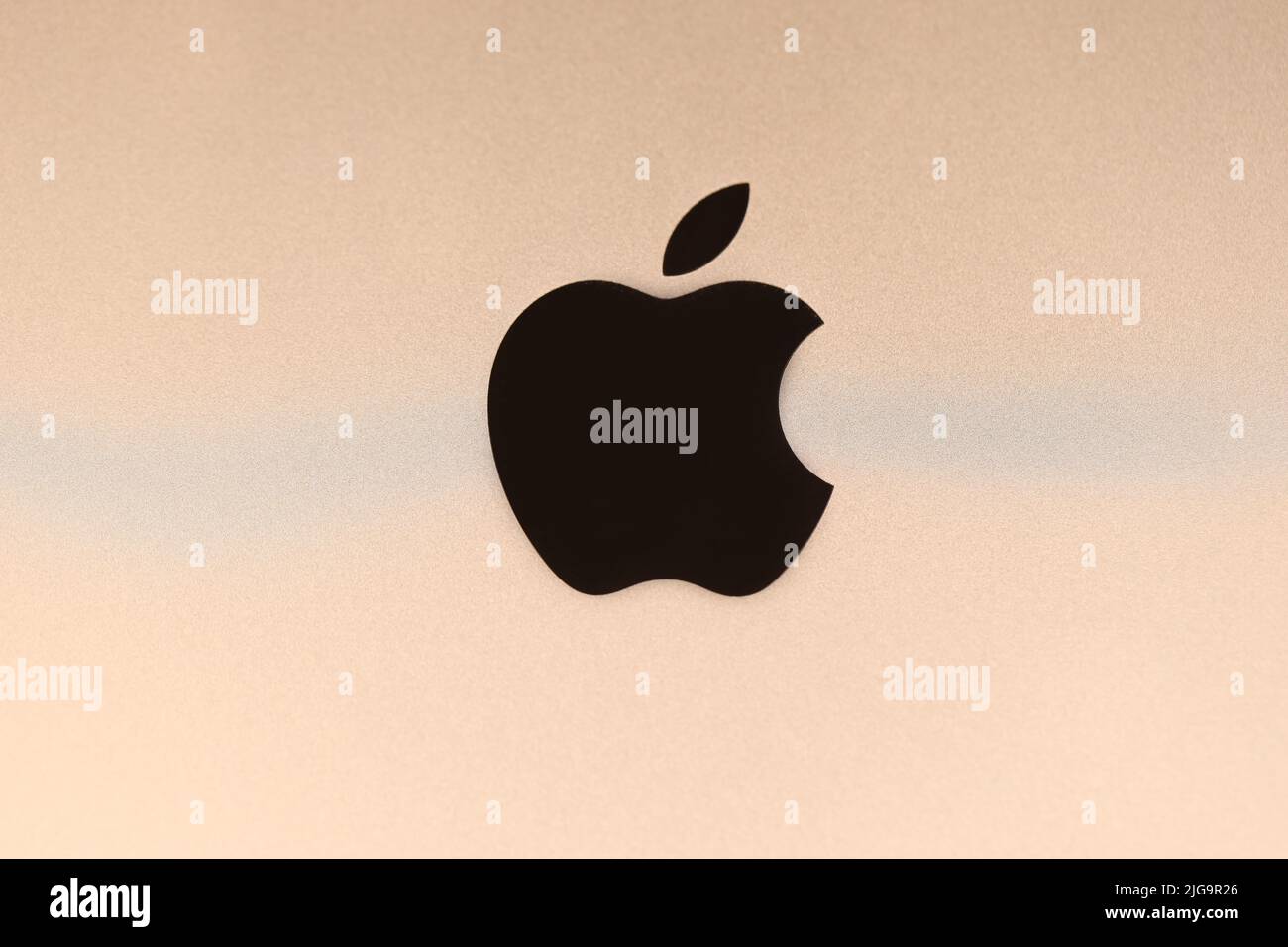 KHARKIV, UKRAINE - JANUARY 27, 2021: Brand new Apple iPad golden body ...