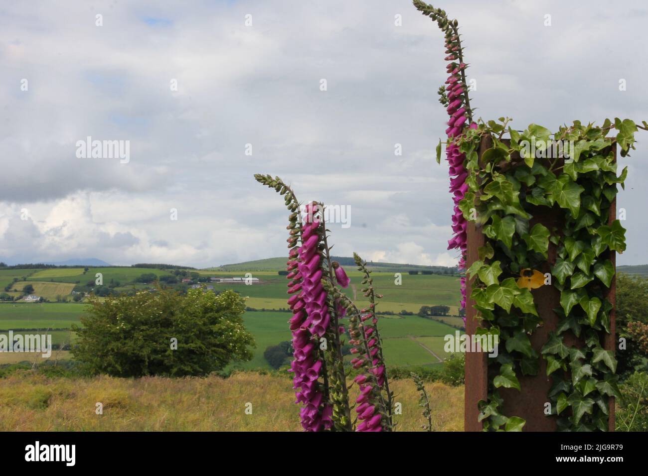 Springtime in Ireland Stock Photo - Alamy