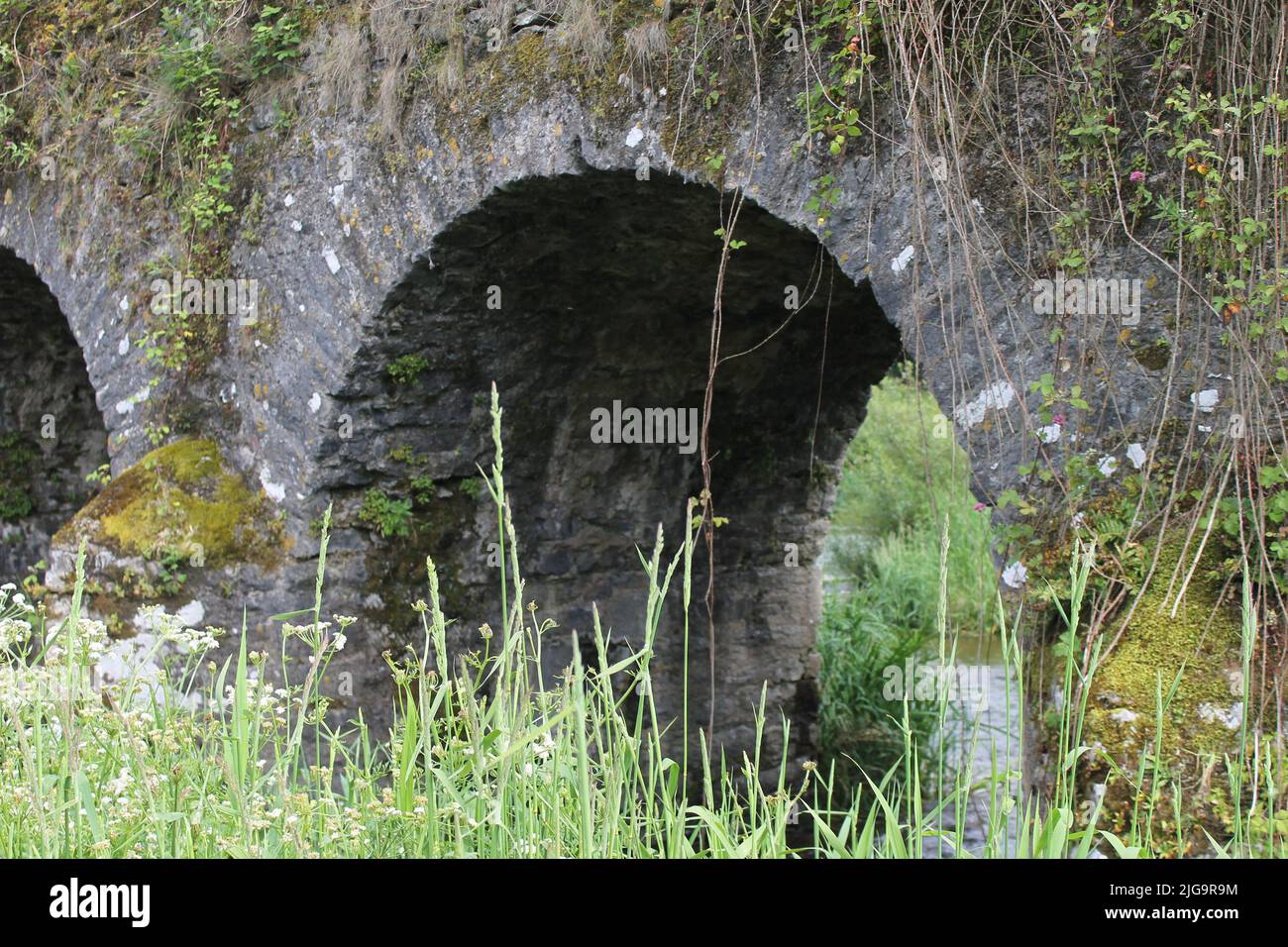 Ivy bridge ireland hi-res stock photography and images - Alamy