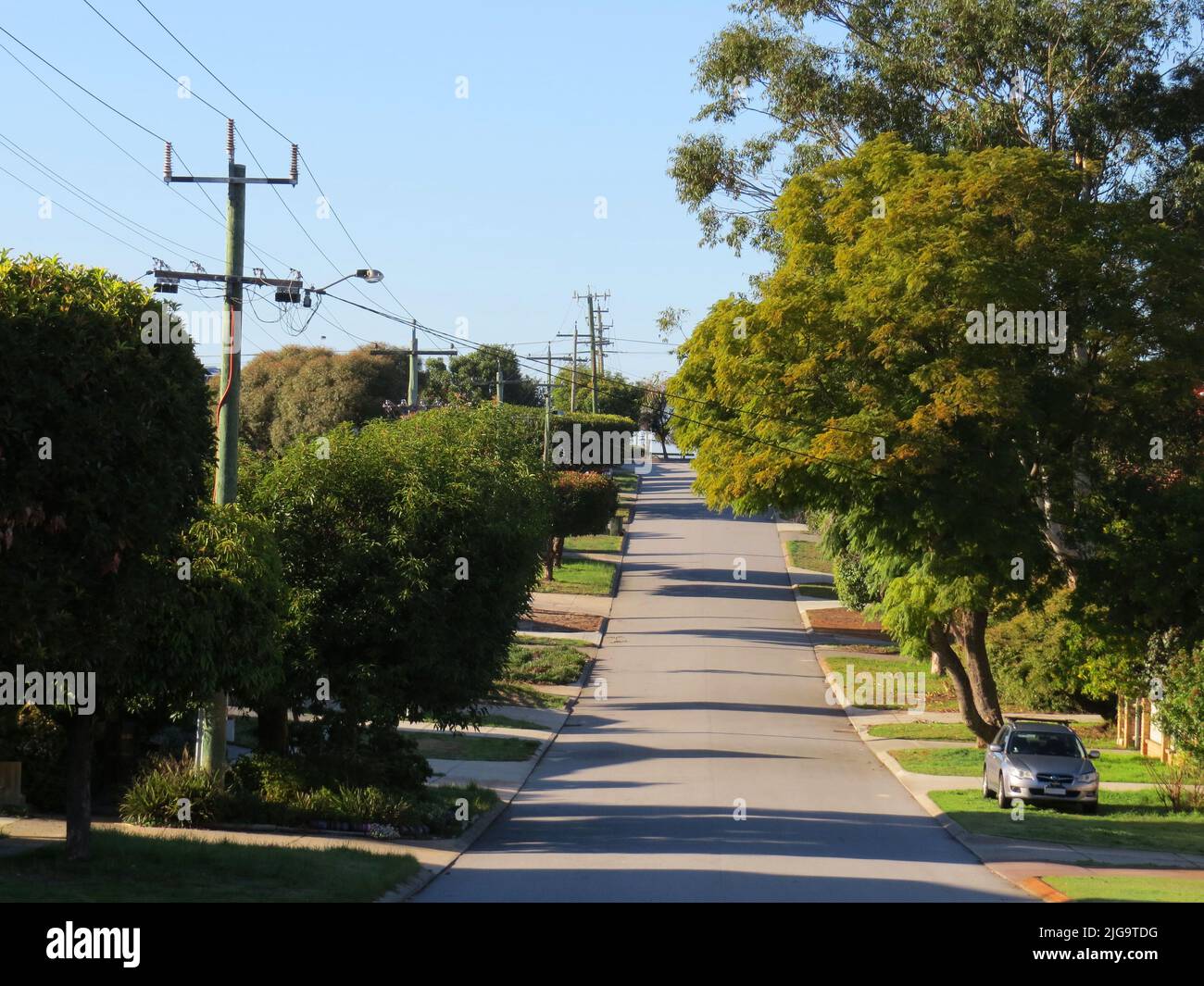Sunny suburban road, lined by trees and their shadows Stock Photo - Alamy