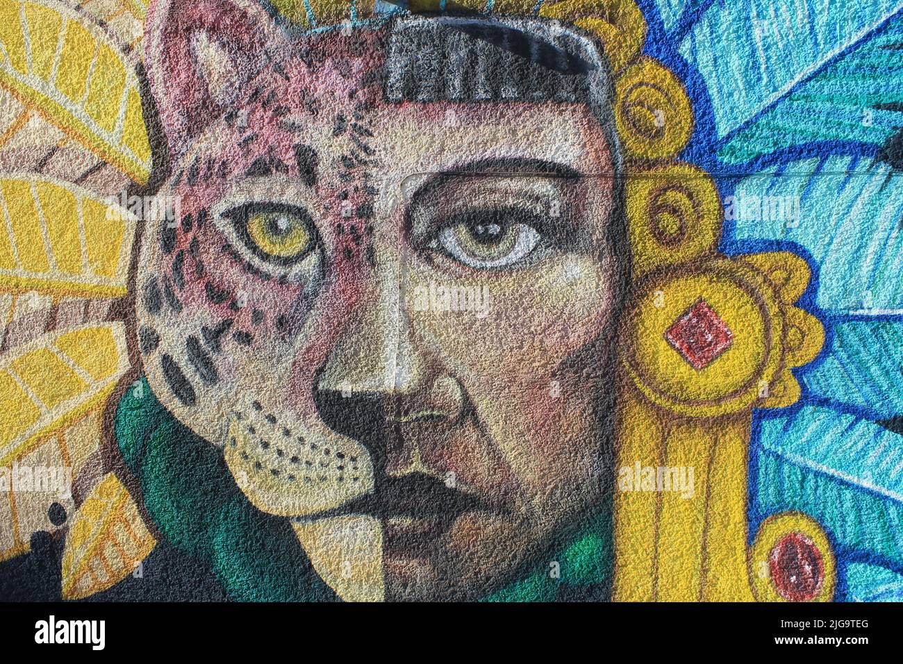 Tropical street art, Isla Mujeres, Mexico Stock Photo - Alamy