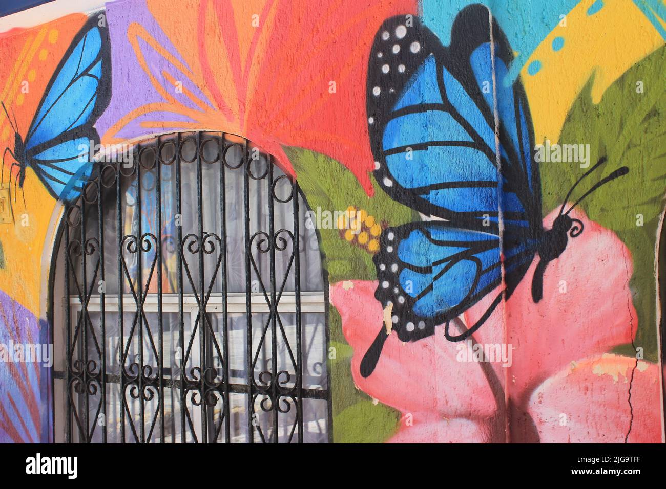 Tropical street art, Isla Mujeres, Mexico Stock Photo - Alamy