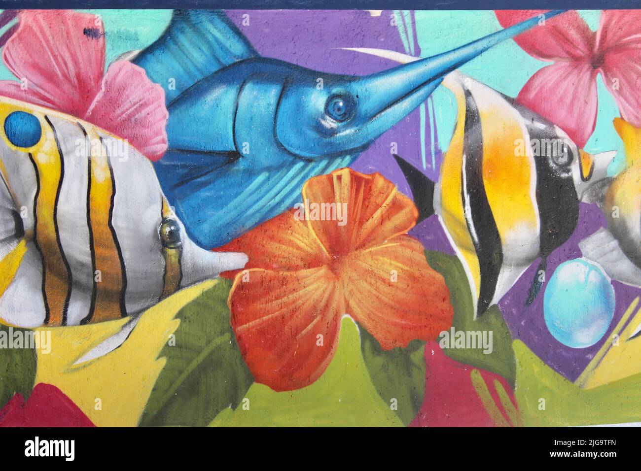 Tropical street art, Isla Mujeres, Mexico Stock Photo - Alamy
