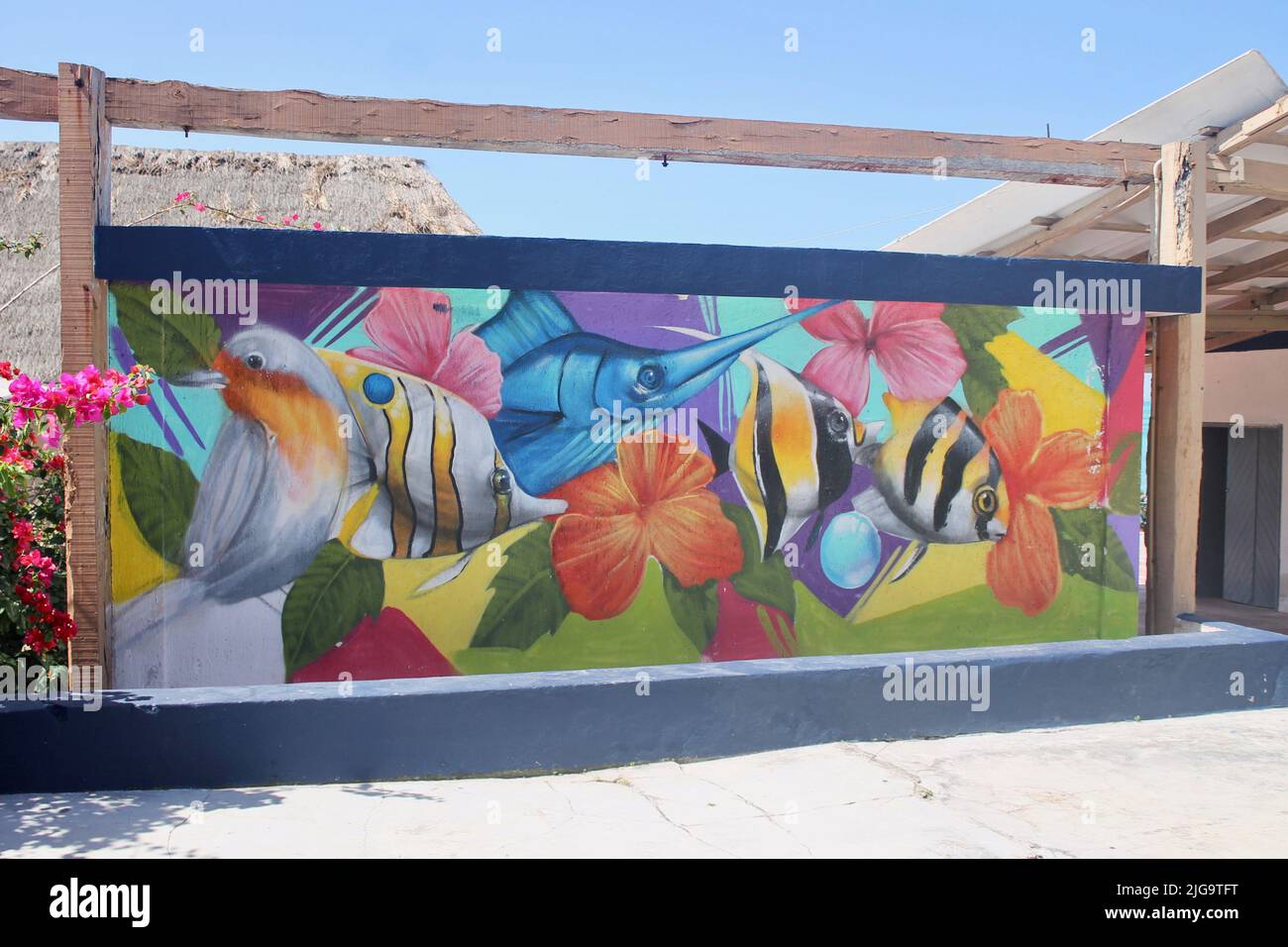 Tropical street art, Isla Mujeres, Mexico Stock Photo - Alamy