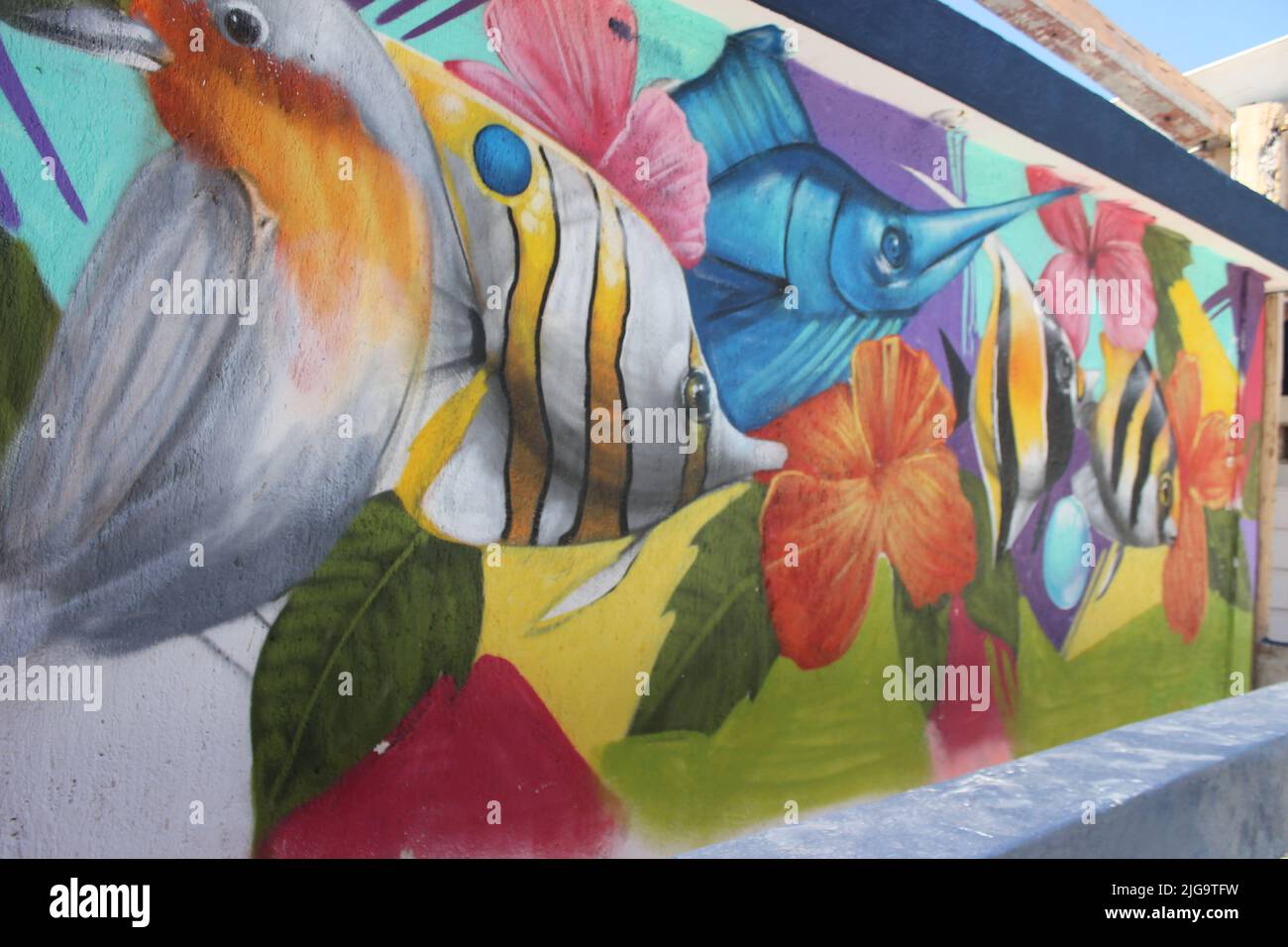 Tropical street art, Isla Mujeres, Mexico Stock Photo - Alamy