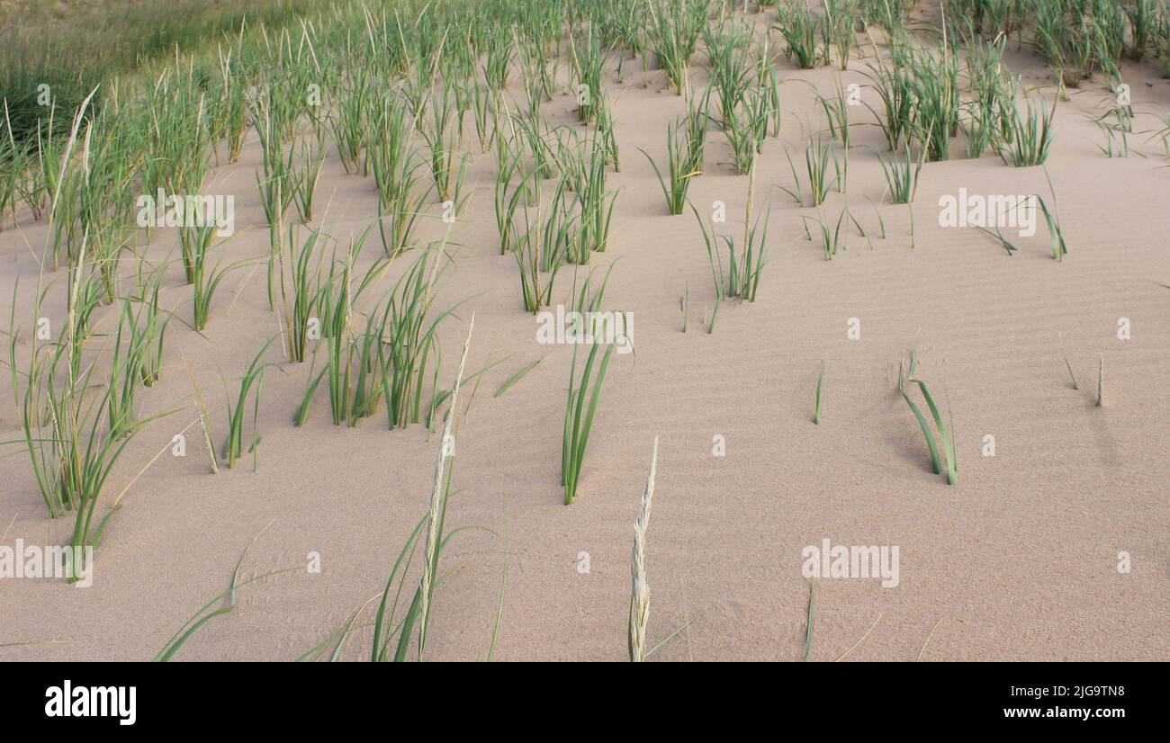Lake michigan over sleeping hi-res stock photography and images - Alamy