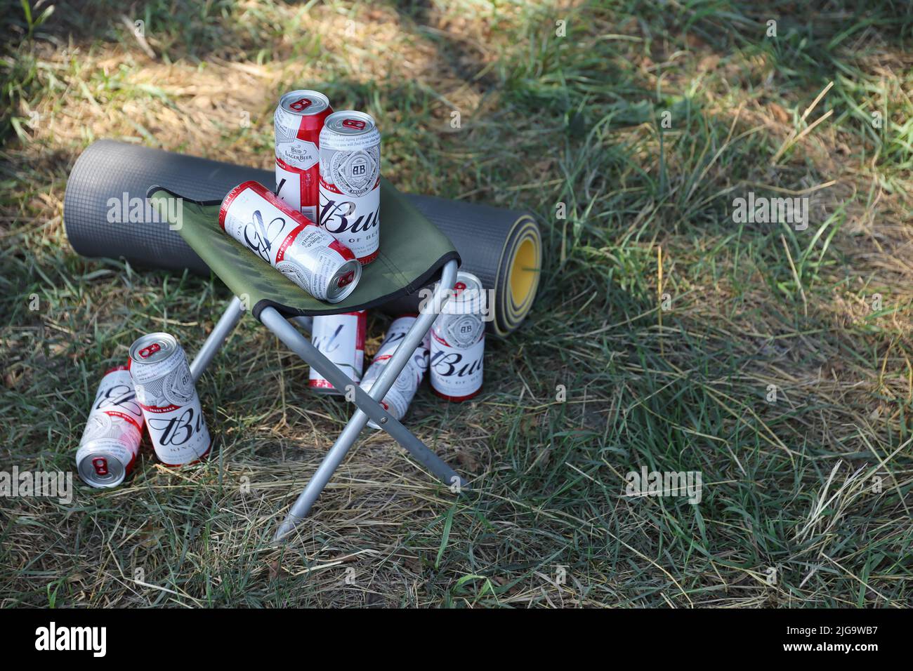 SUMY, UKRAINE - AUGUST 01, 2021: Few Cans of Budweiser Lager Alcohol ...