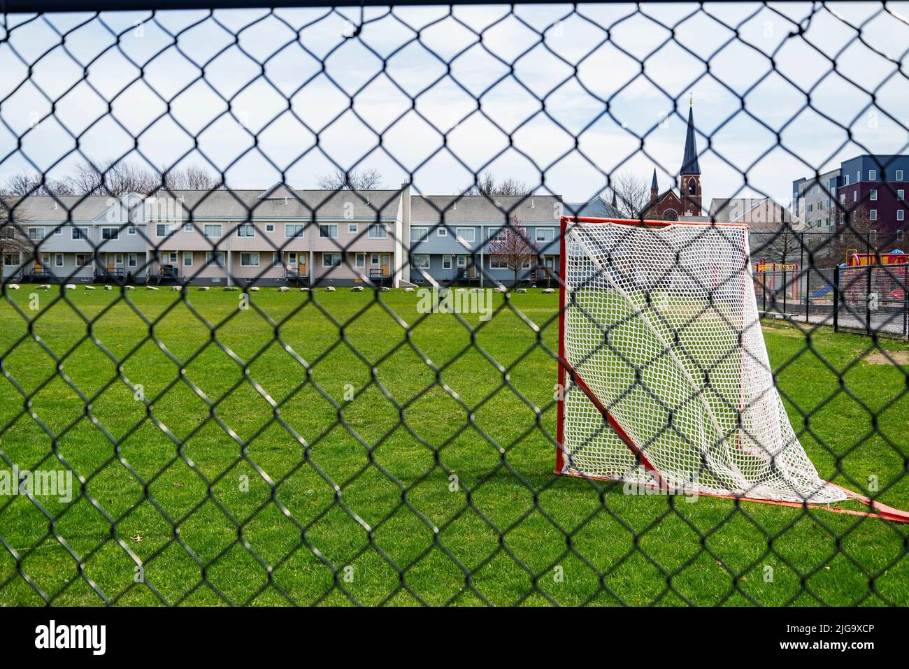 Grass Lacrosse Field