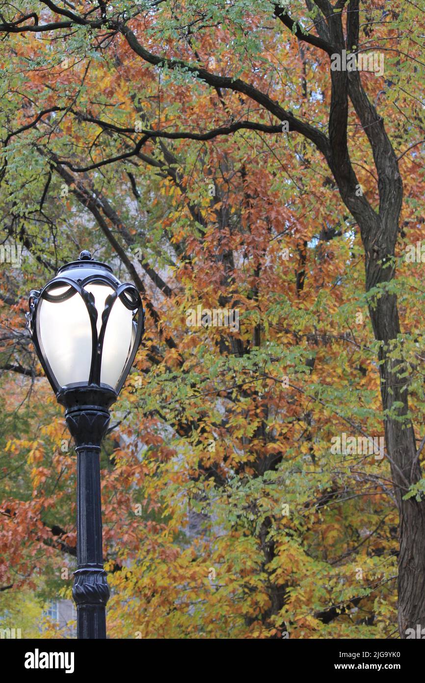 Seasons central park hi-res stock photography and images - Alamy