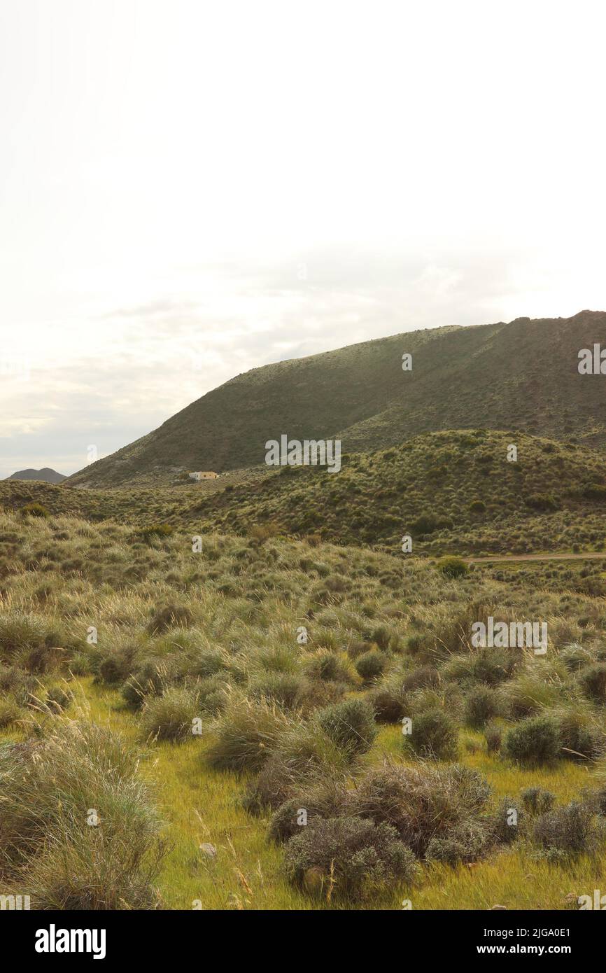 Mountain view with a lot of trees and path in the wild Stock Photo - Alamy