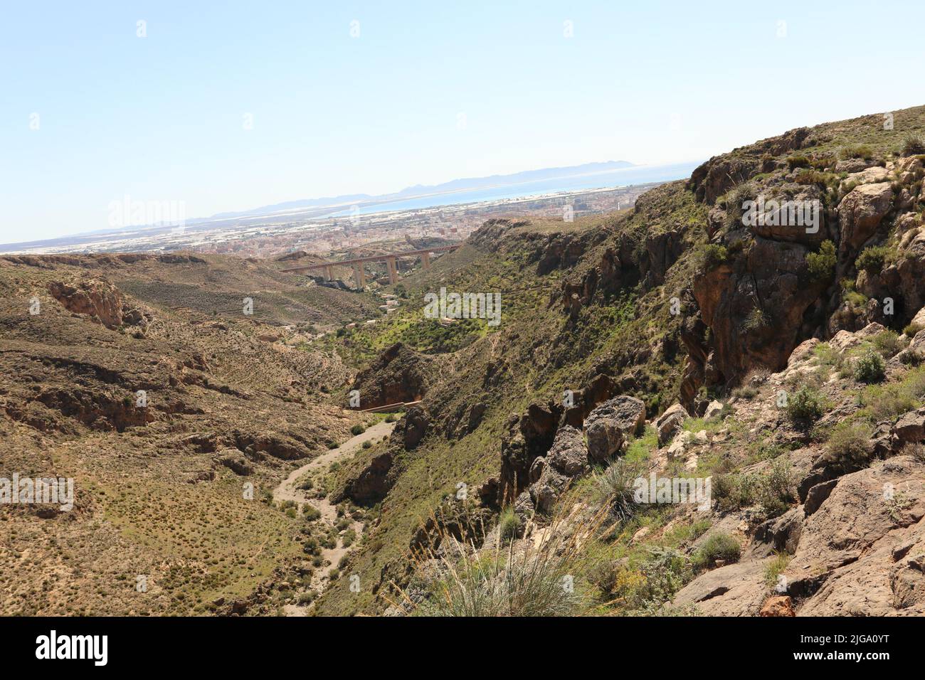 Arid forest hi-res stock photography and images - Alamy
