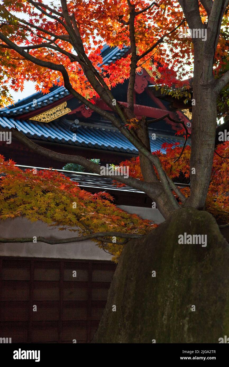 Autumn Kiyomizu Kannon-do Temple Ueno Tokyo Japan Stock Photo - Alamy
