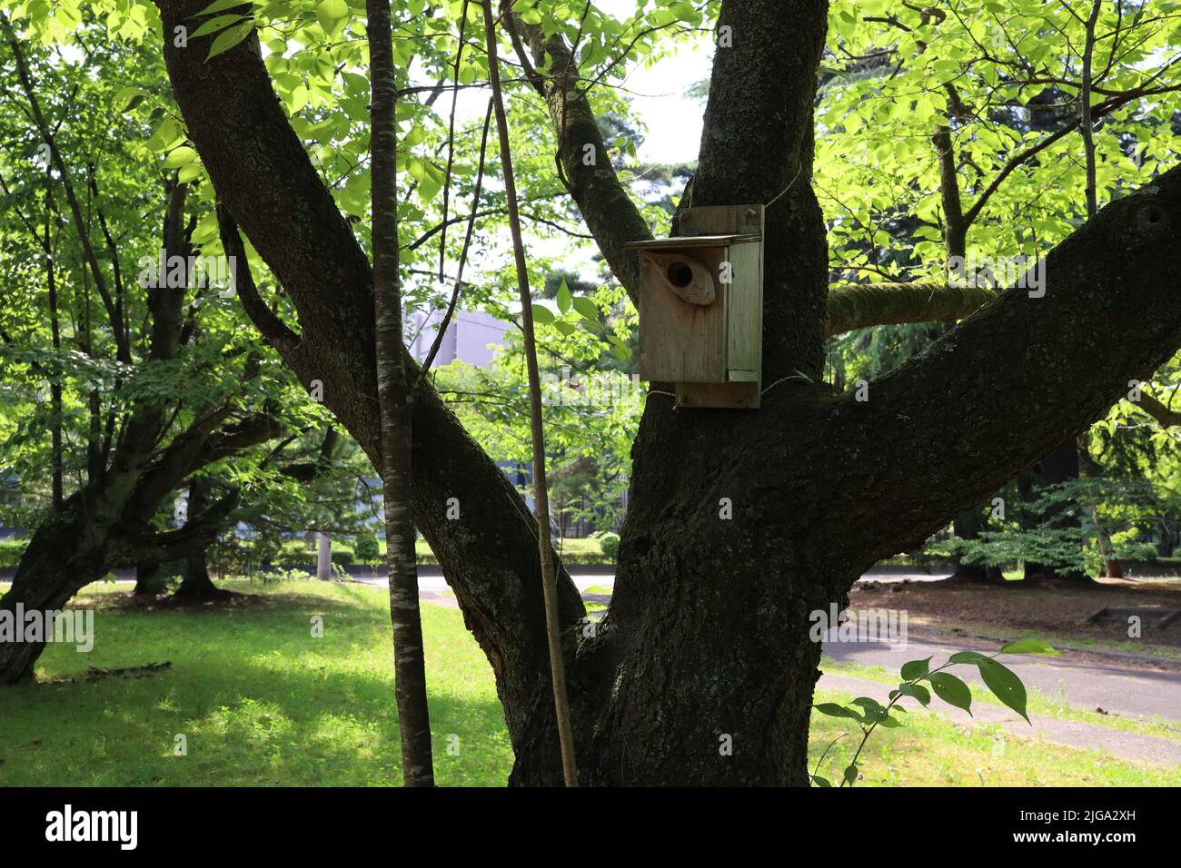 Japanese birdhouse hi-res stock photography and images - Alamy