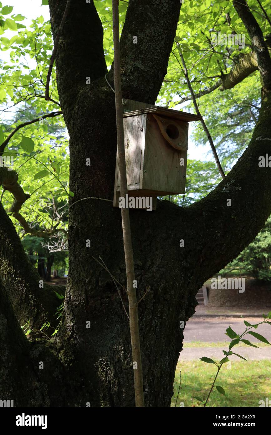 Japanese summer birdhouse Stock Photo - Alamy