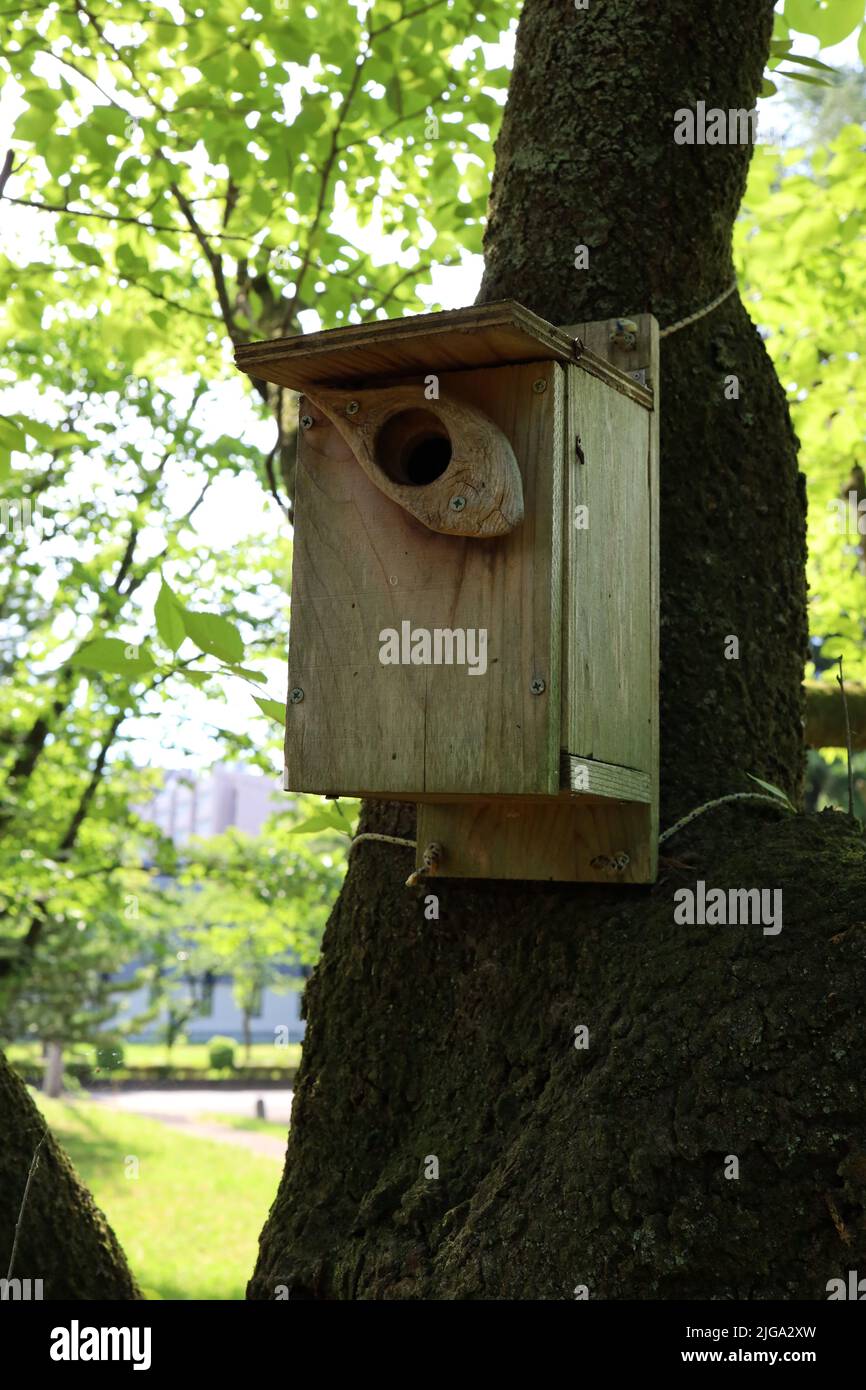 Japanese birdhouse hi-res stock photography and images - Alamy