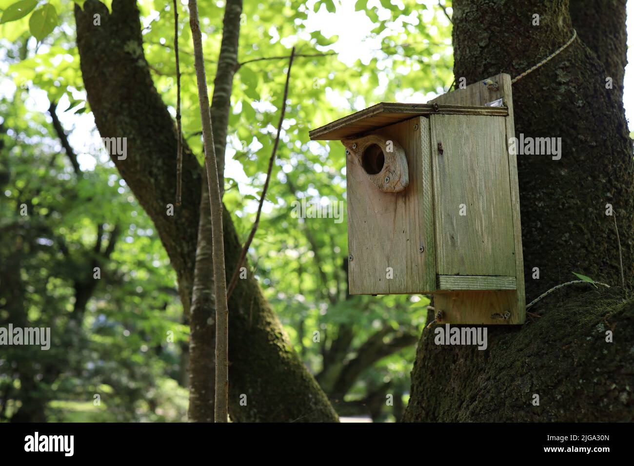 Japanese summer birdhouse Stock Photo - Alamy