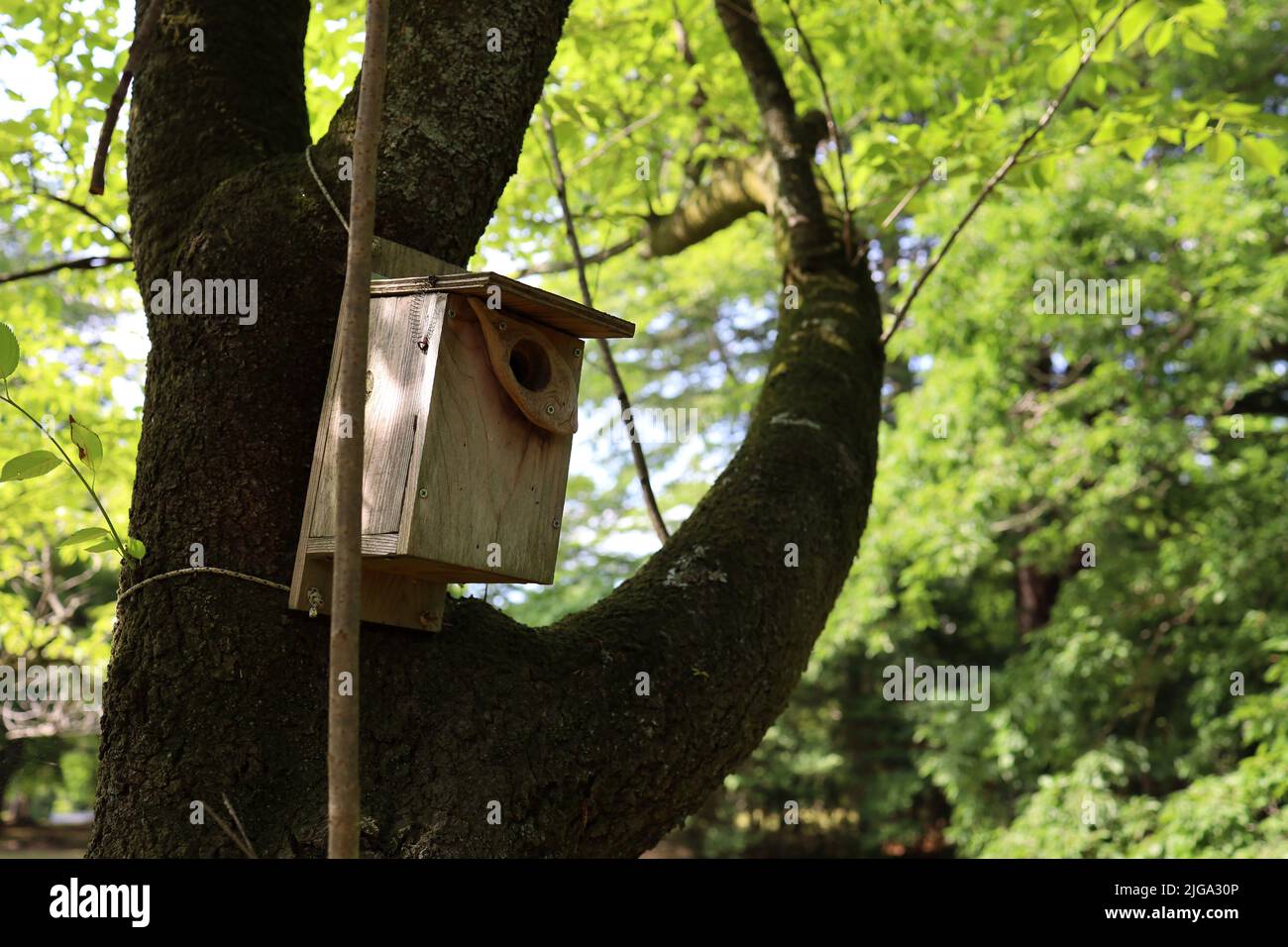 Japanese summer birdhouse Stock Photo - Alamy
