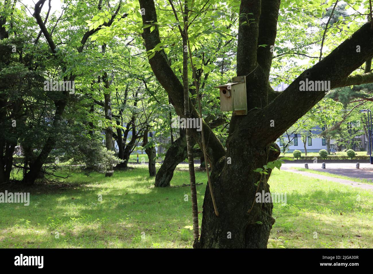 Japanese birdhouse hi-res stock photography and images - Alamy