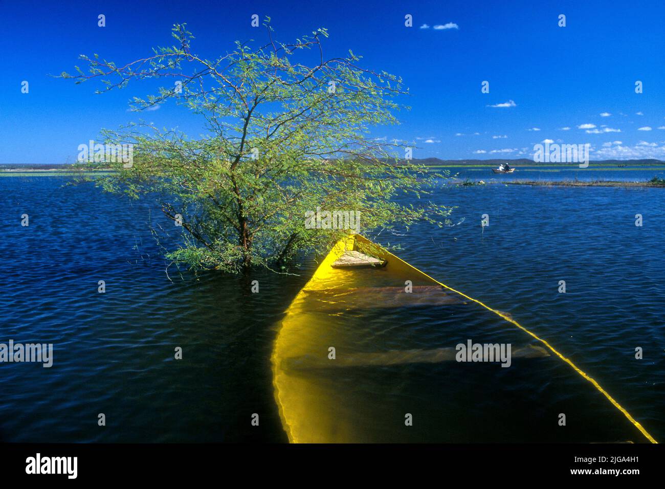 yellow canoe submerged in the Piató lagoon, Assu, Rio Grande do Norte ...