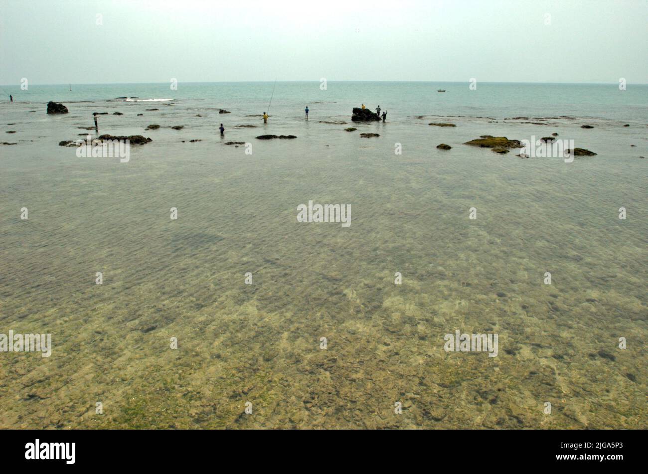 People fishing as they are standing on shallow water on rocky, flat ...
