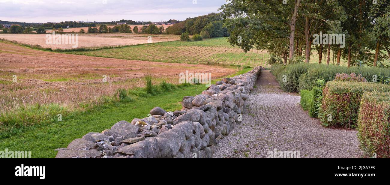 Landscape of a cultivated farmland with crops growing by the ...