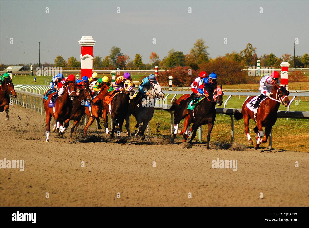 Horse Track Finish Line