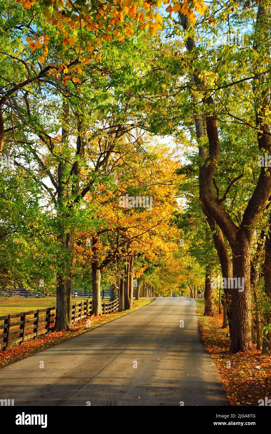 Back Roads of Kentucky Stock Photo - Alamy