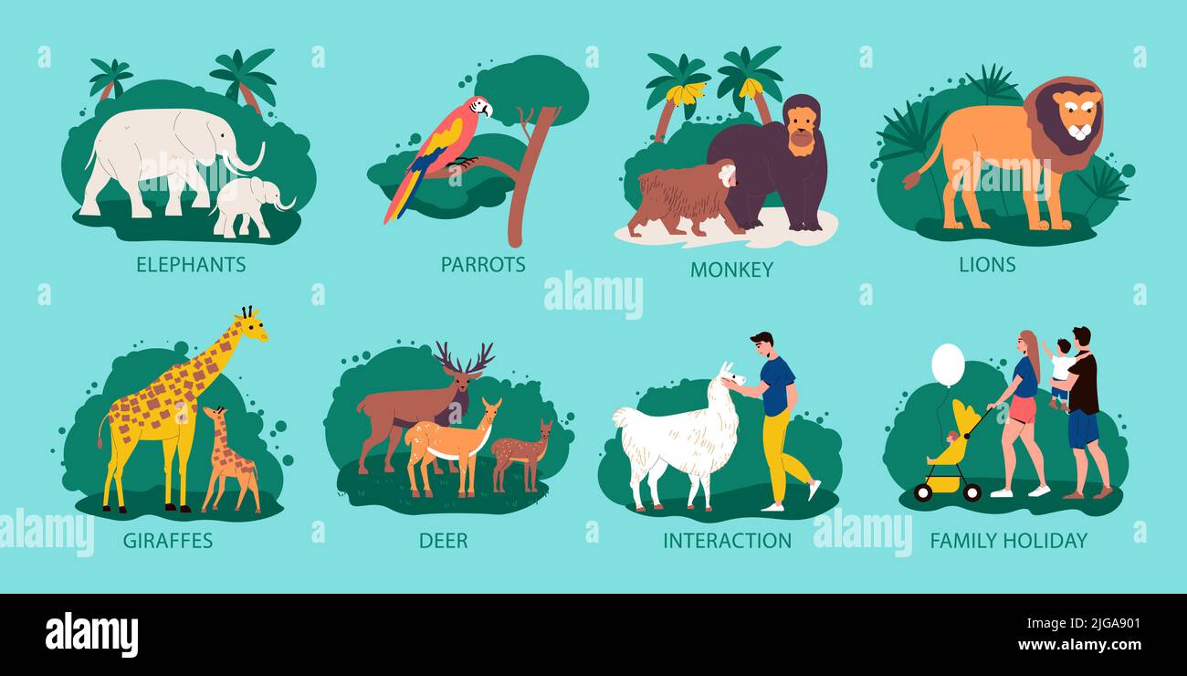 Zoo design concept with interaction and holiday symbols flat isolated ...
