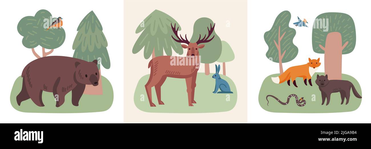 Forest animals design concept with three square compositions of wild ...