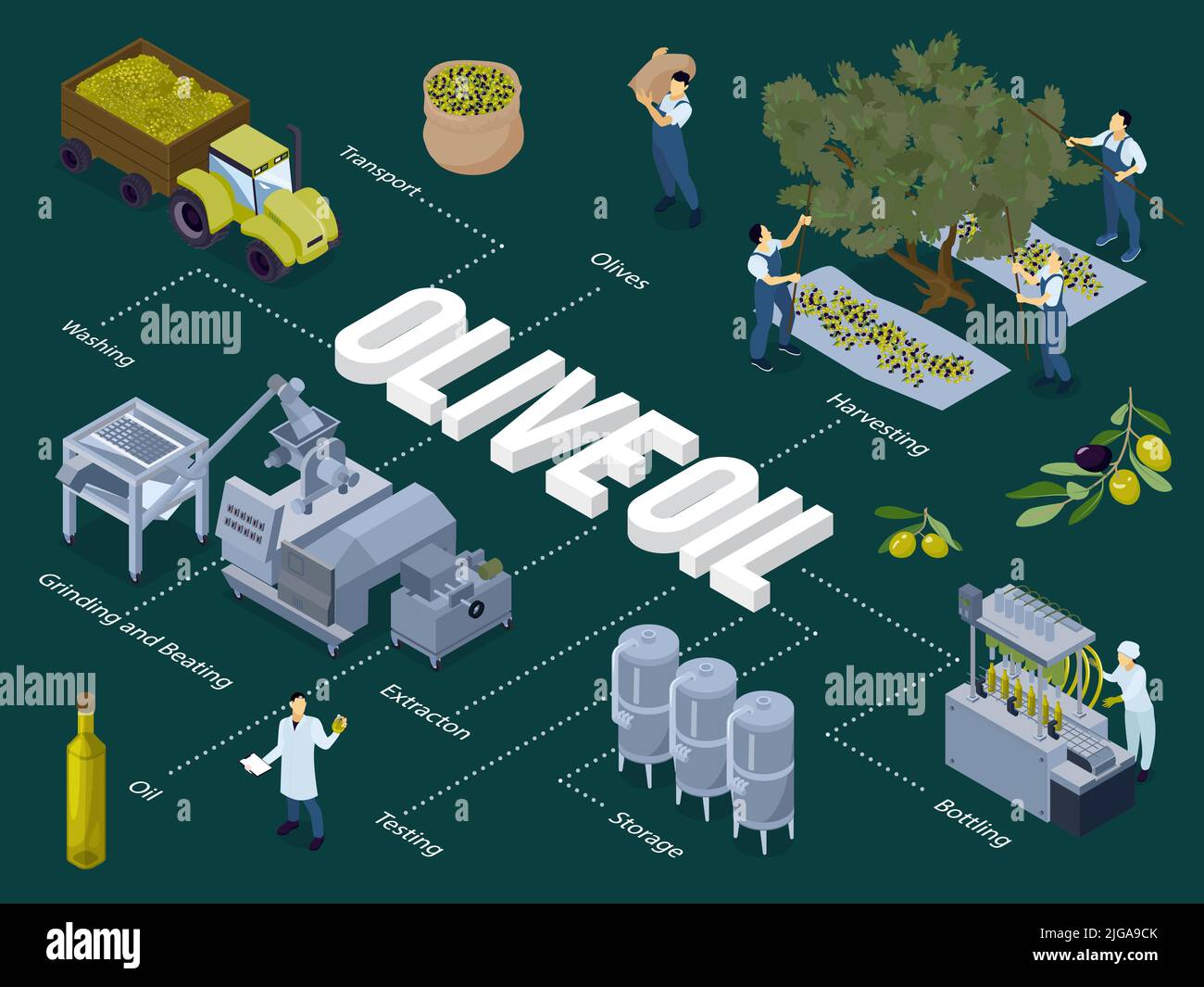 Production of olive oil isometric flowchart with harvesting ...