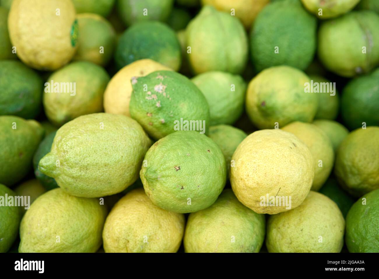 Lime Citrus Fruits In Fruit Market Stock Photo - Alamy