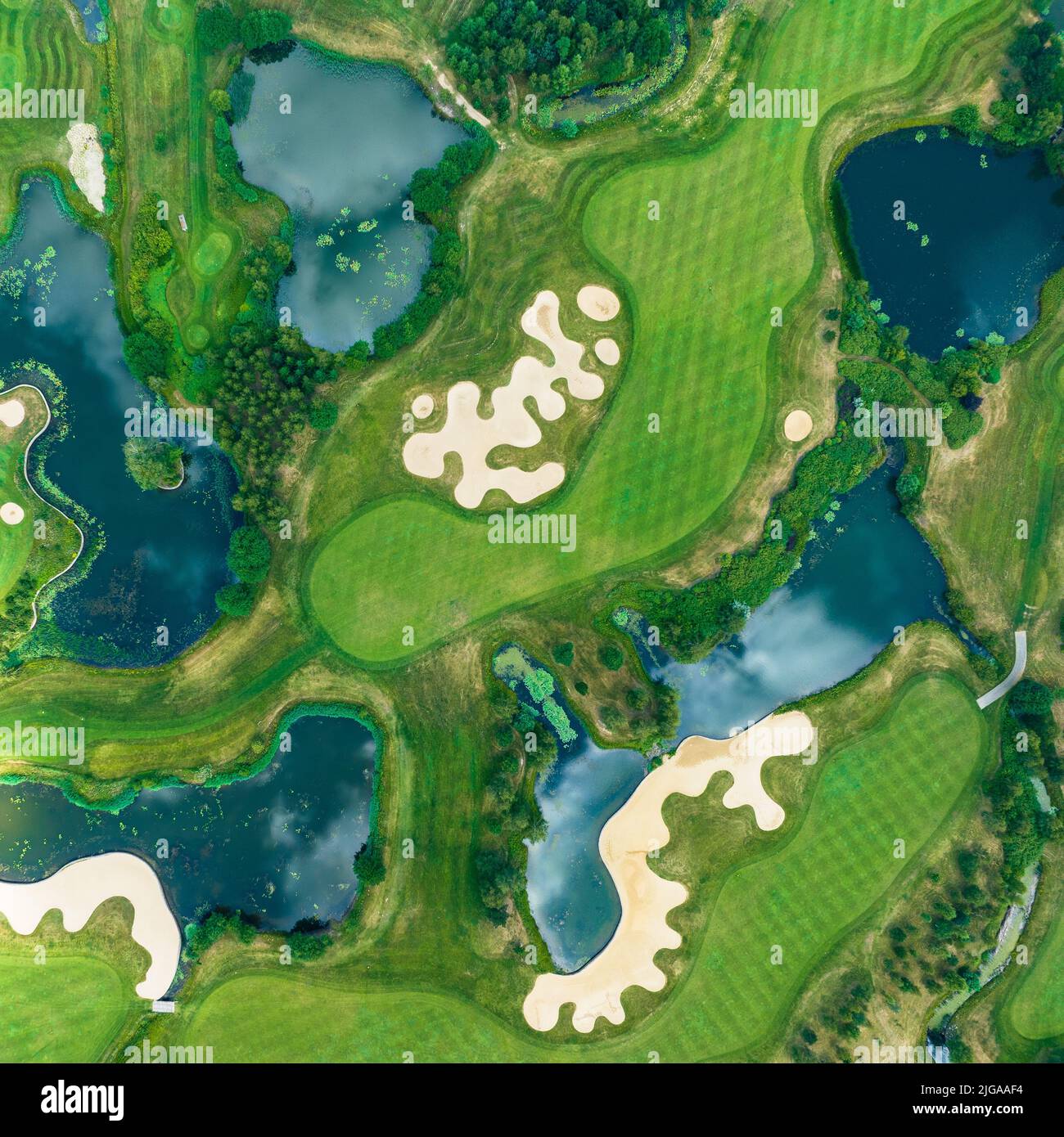 Golf Field Background. Aerial view of green grass and trees on a golf ...