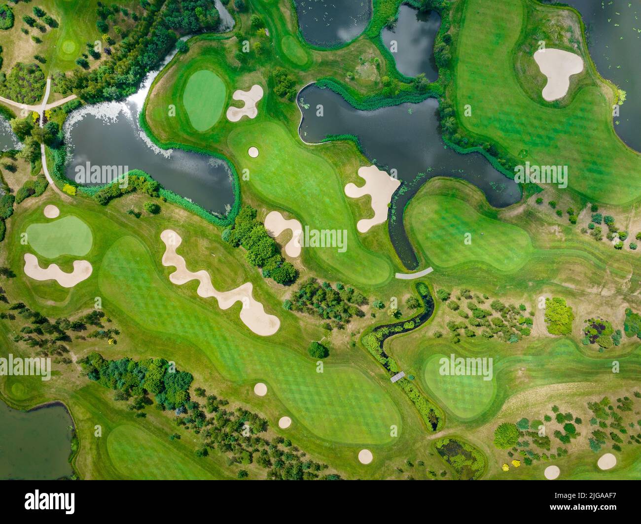 Golf Field Background. Aerial view of green grass and trees on a golf ...
