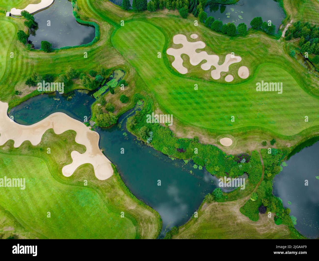 Golf Field Background. Aerial view of green grass and trees on a golf ...