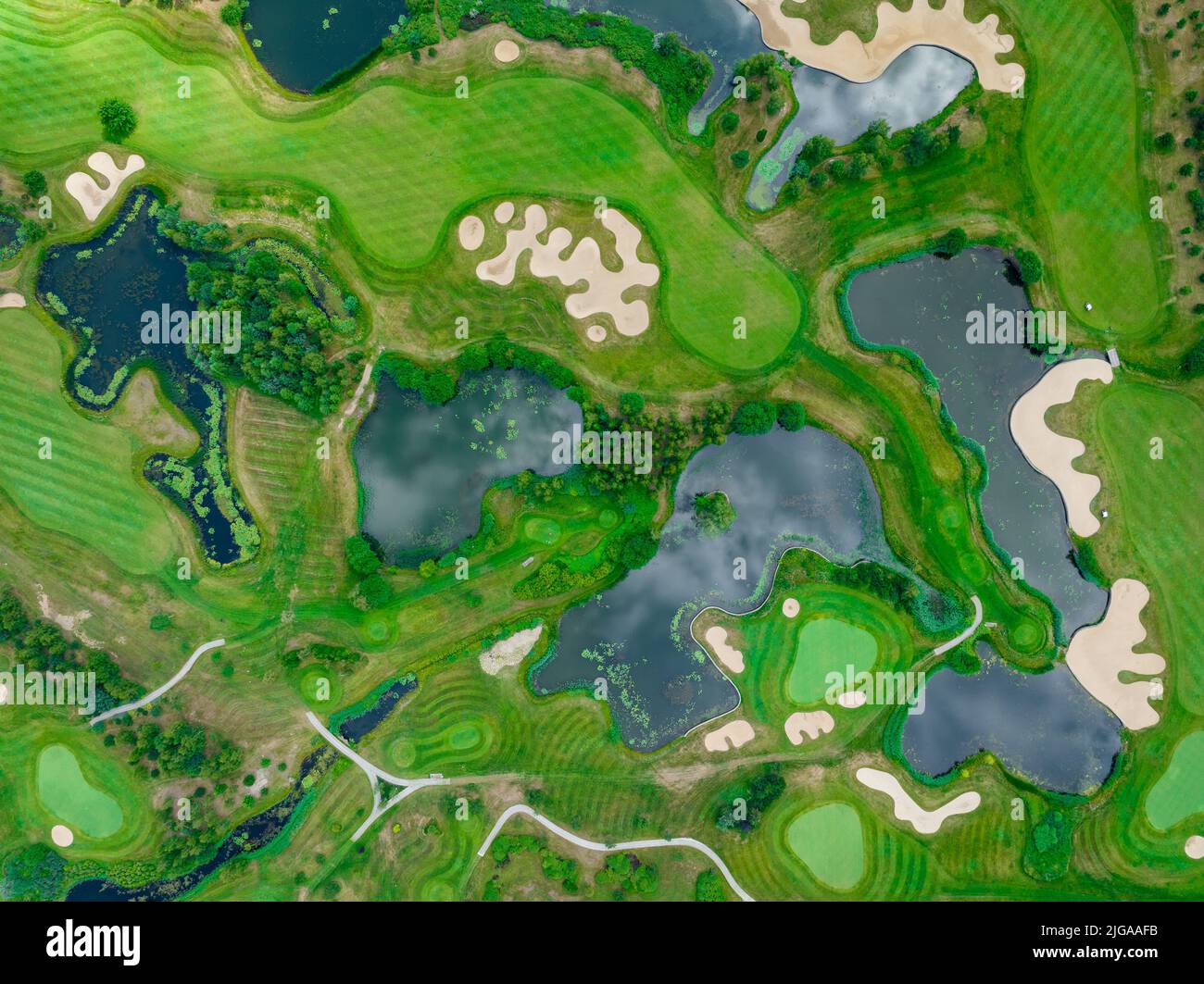 Golf Field Background. Aerial view of green grass and trees on a golf ...