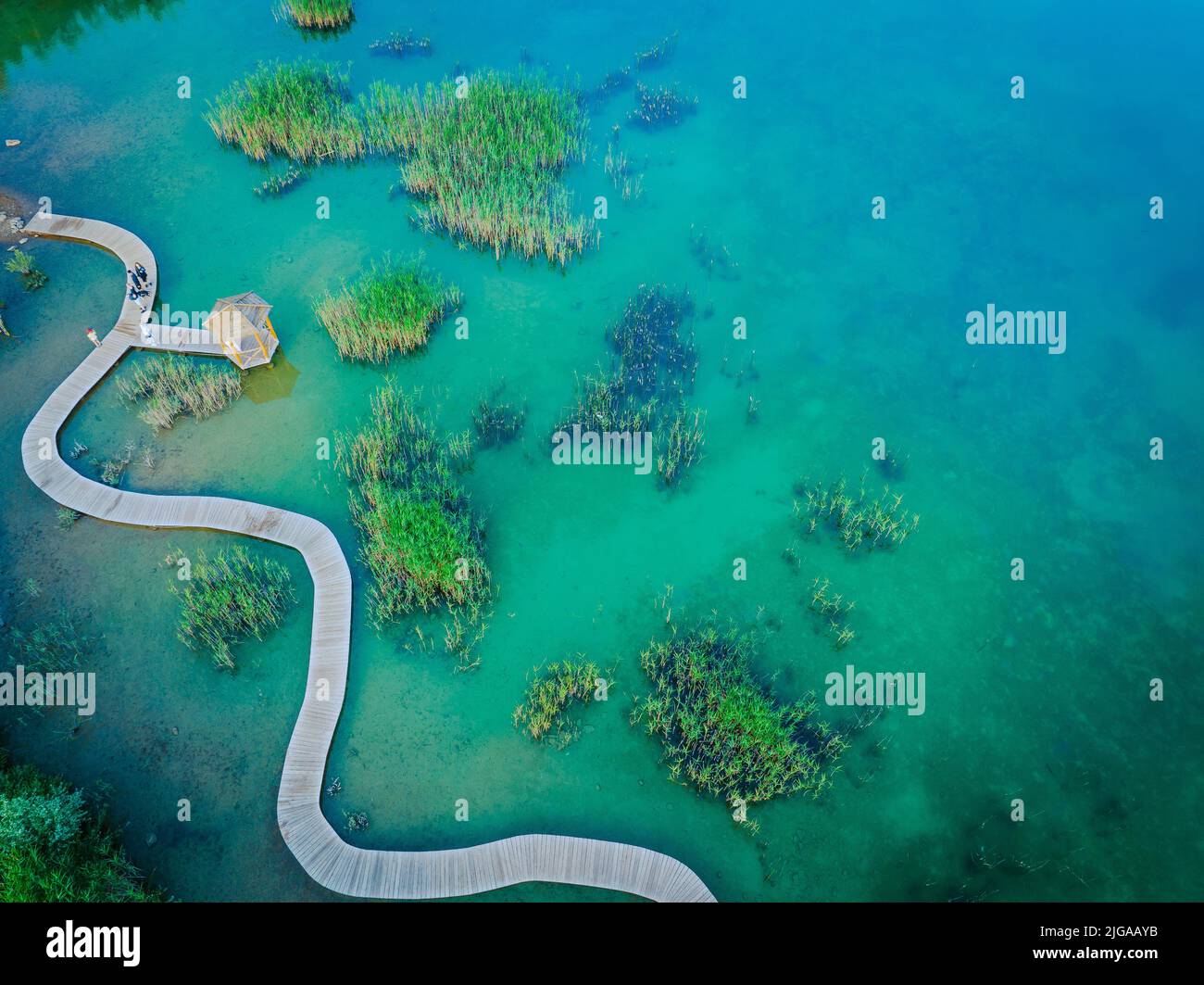 Grodek park hi-res stock photography and images - Alamy