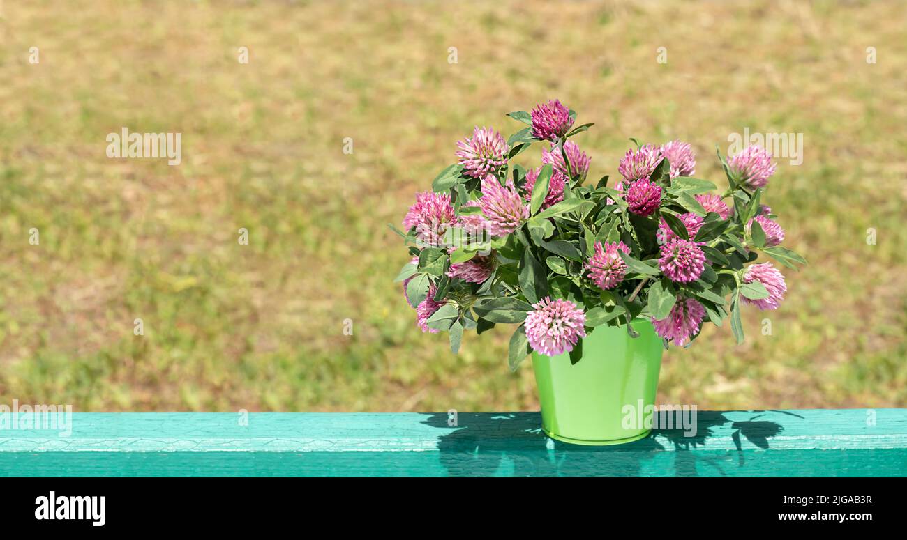 A bouquet of clover wild flowers in a decorative bucket on a blurred ...