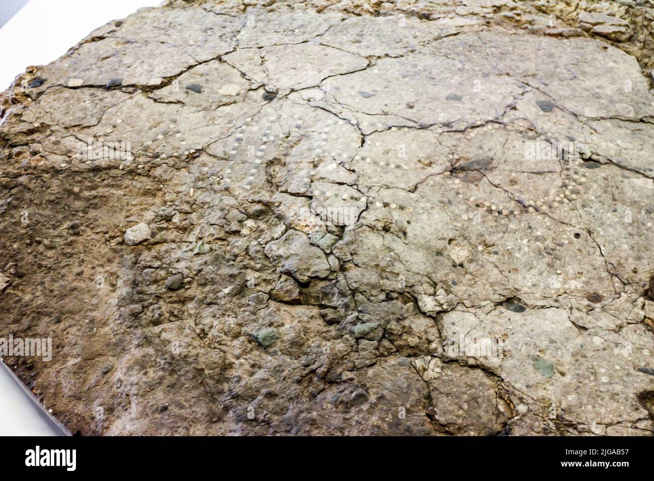 Soil floor hi-res stock photography and images - Alamy