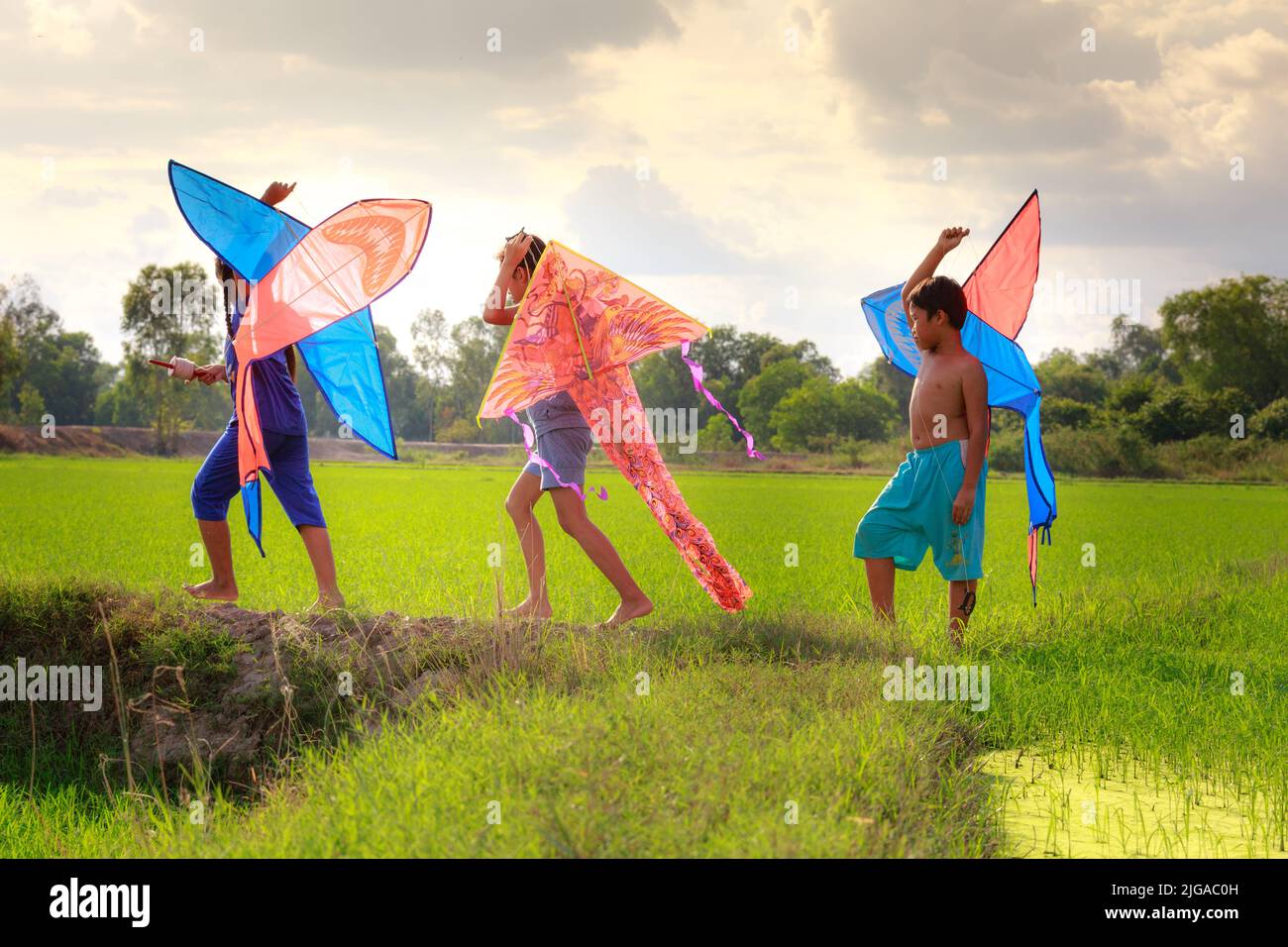 Children fly kites on rice fields in rural Vietnam Stock Photo - Alamy