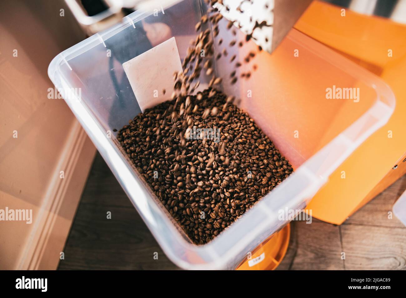 Roasted coffee beans from roaster machine pouring into the special box ...
