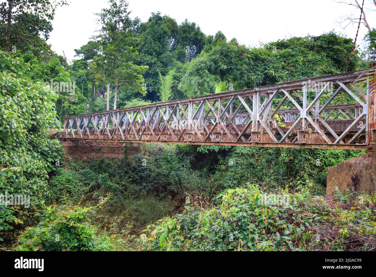 old iron bridge in the forest Stock Photo - Alamy