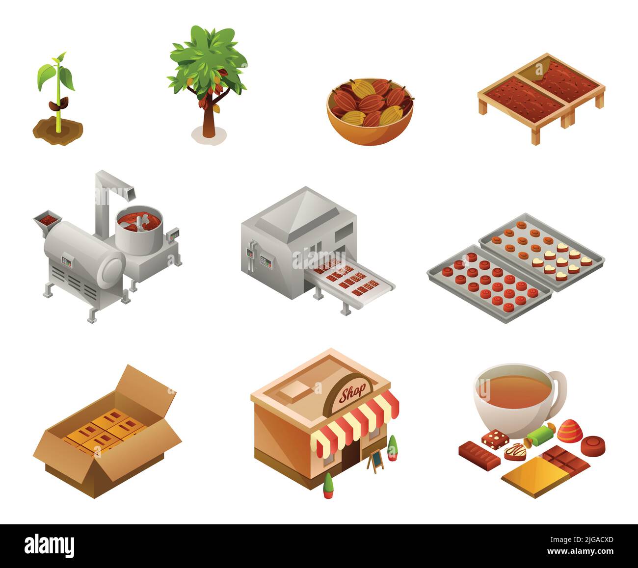 Chocolate isometric set of evergreen chocolate tree cocoa beans and ...