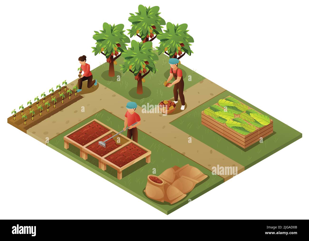 Chocolate production isometric composition with farmers involved in ...
