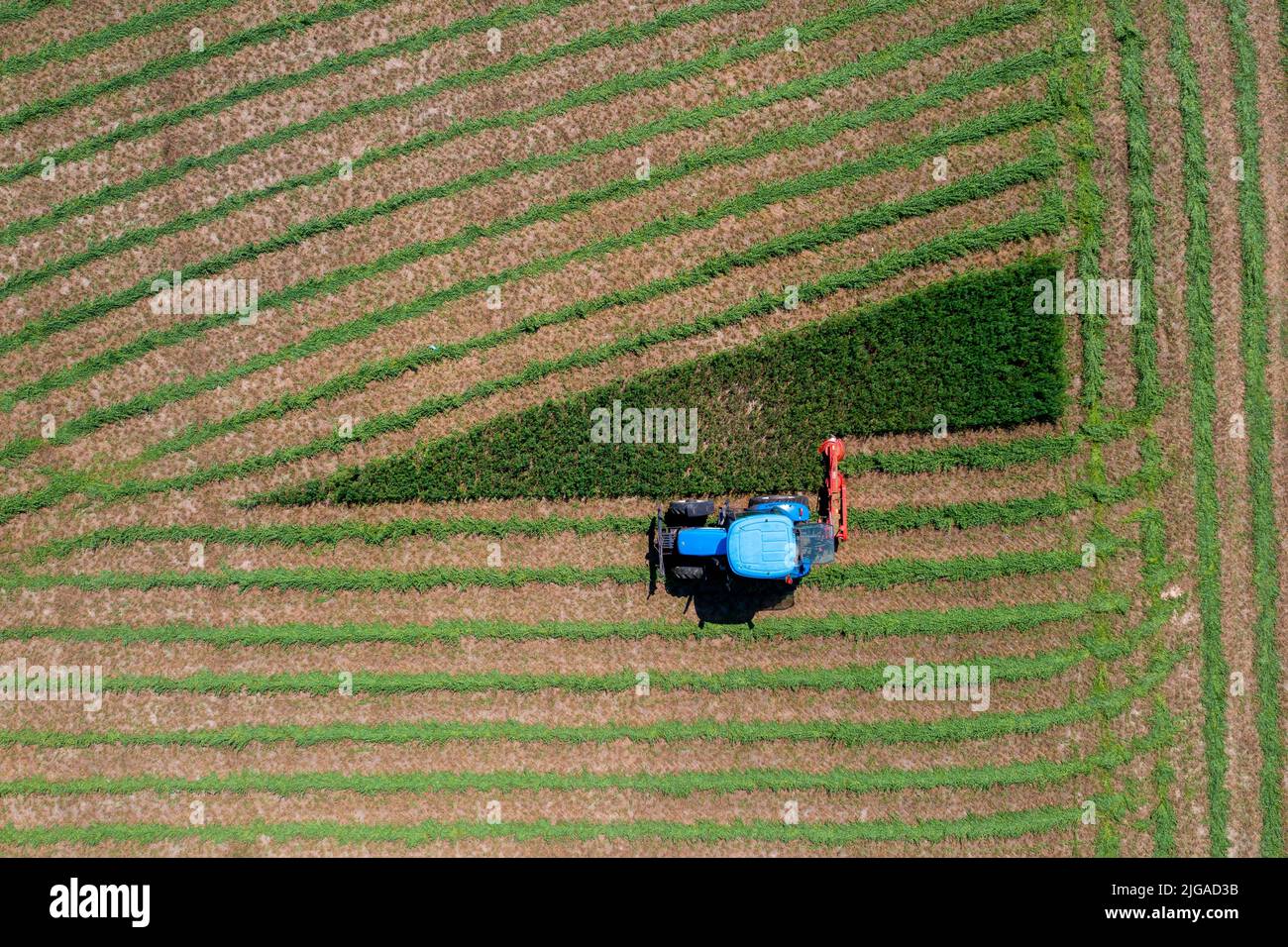 Working in farming hi-res stock photography and images - Alamy