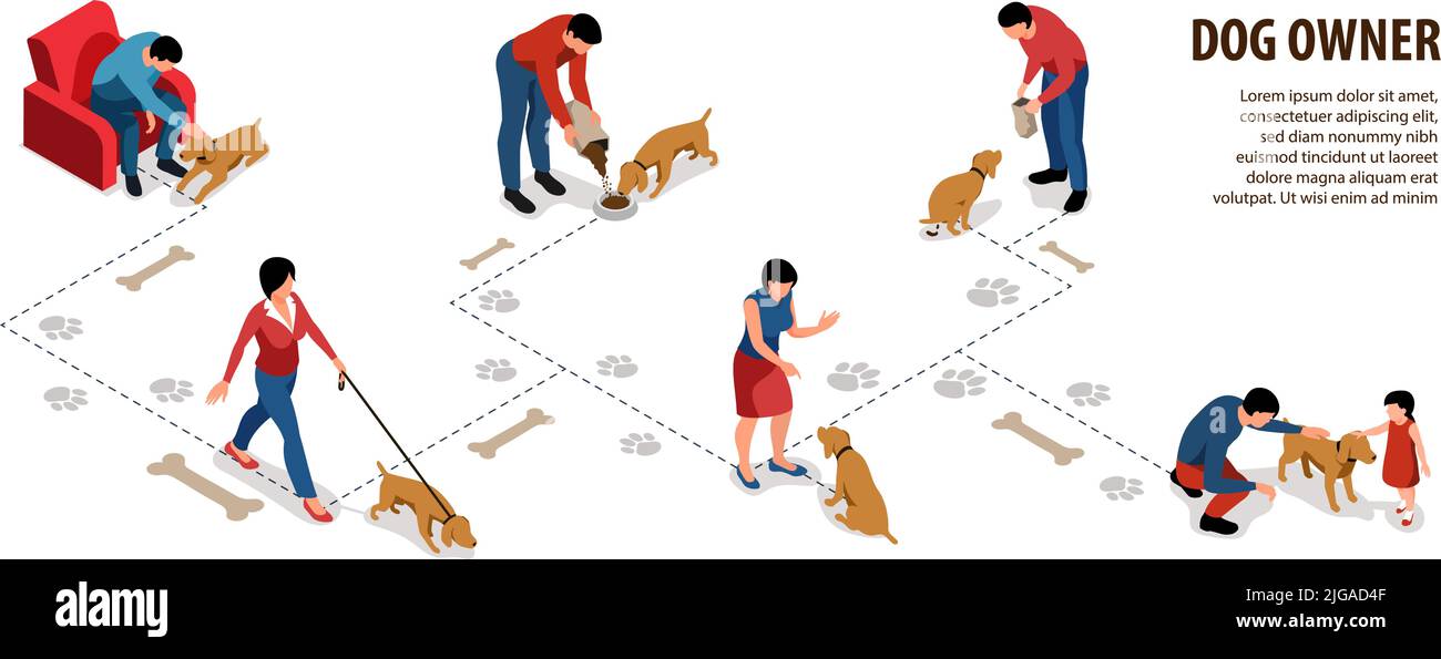 Dog owner infographic set with care and fun symbols isometric vector ...