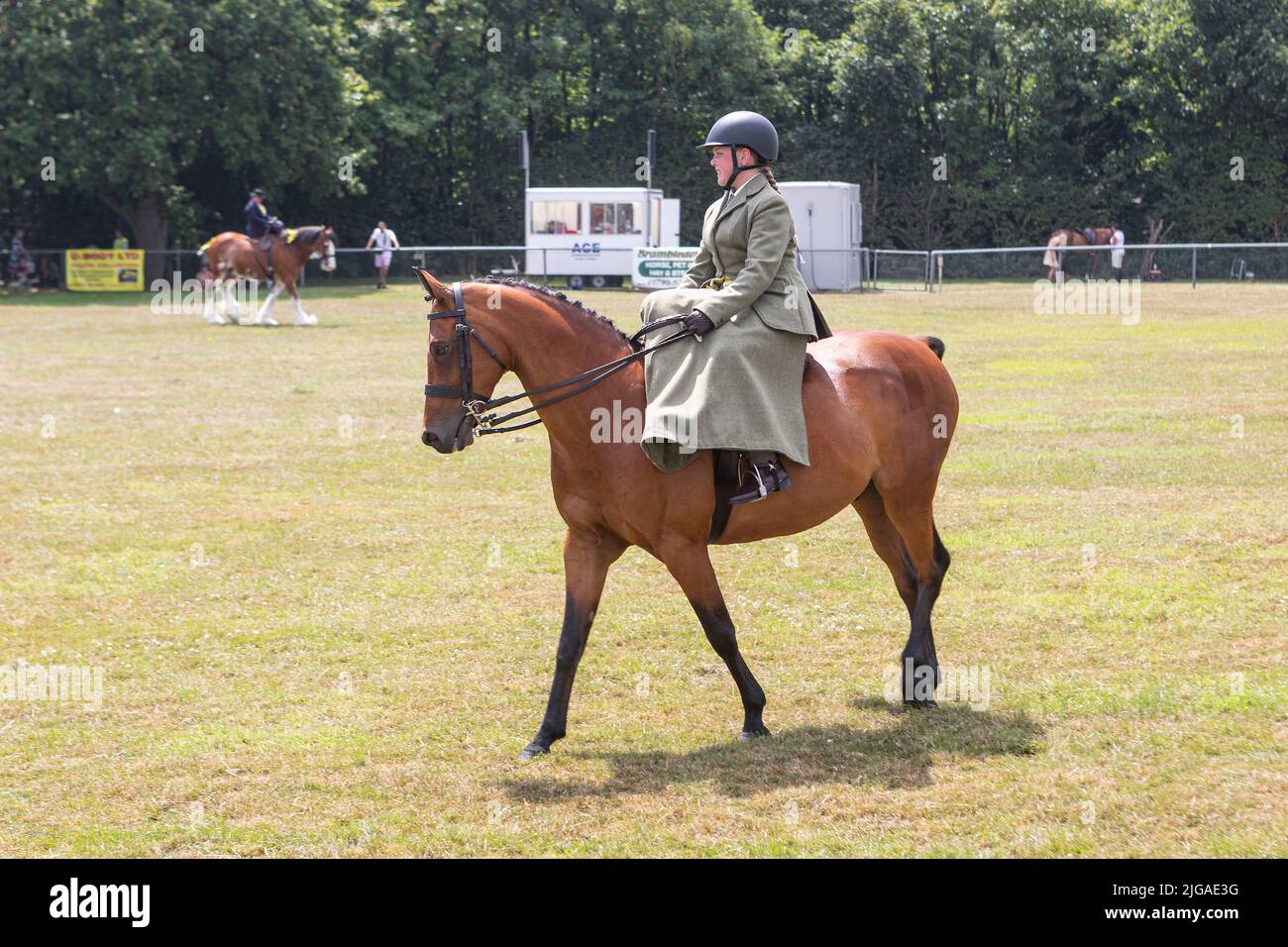 Side saddle hi-res stock photography and images - Alamy