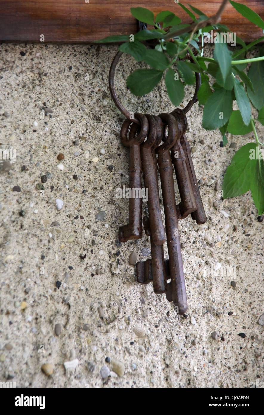 Forgotten keys get rusty on the wall Stock Photo - Alamy